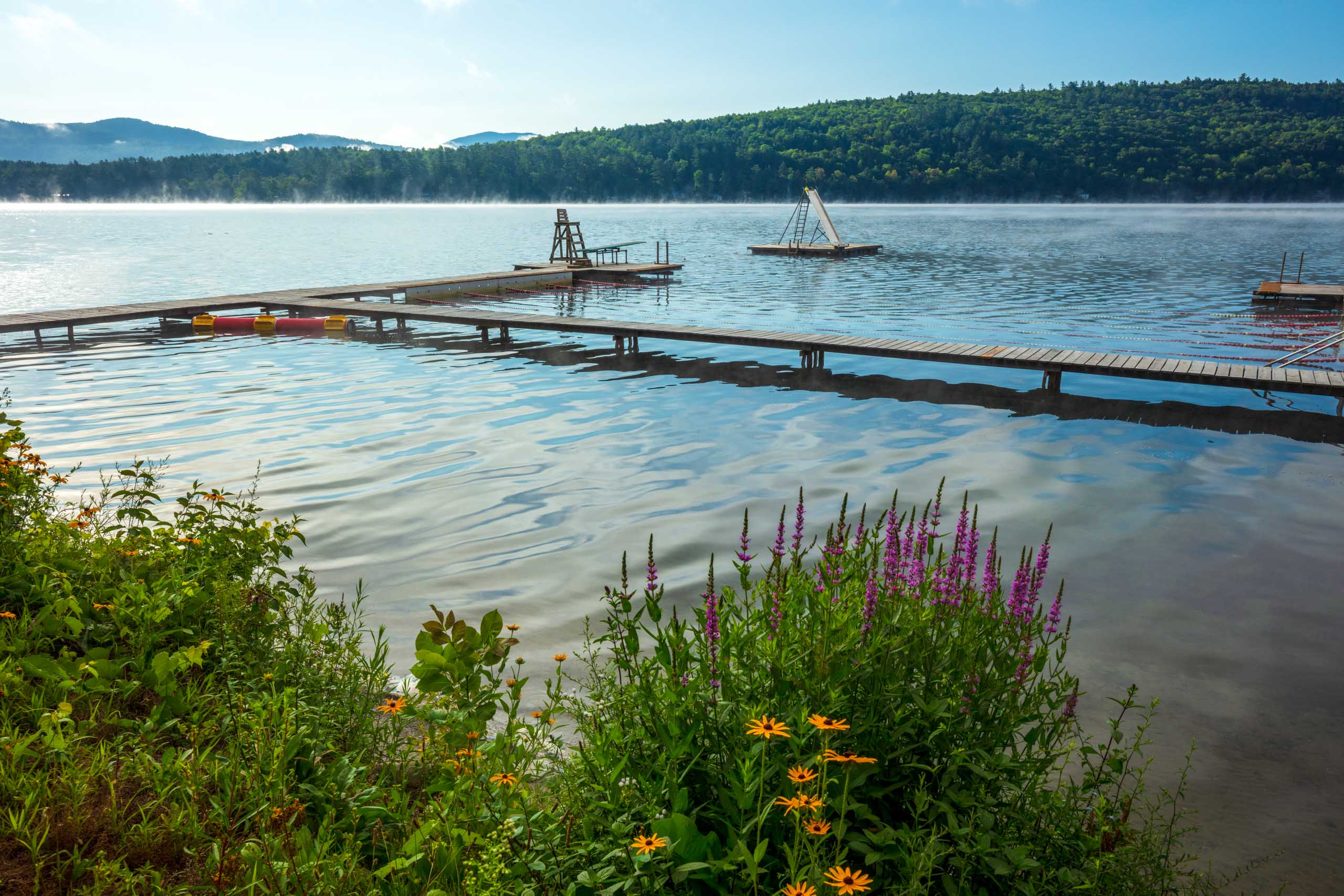 Aloha - Aloha Foundation