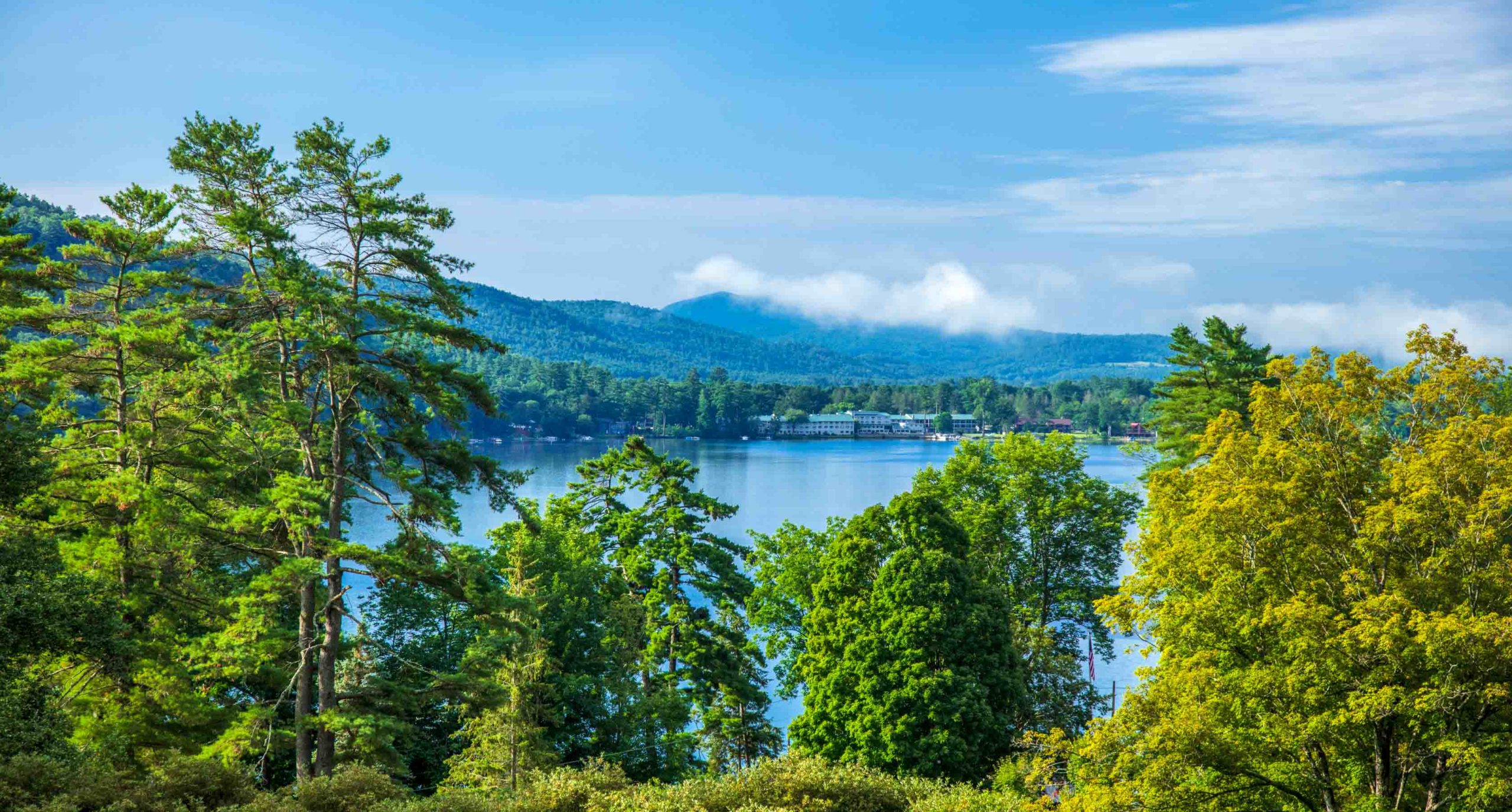 Aloha - Aloha Foundation