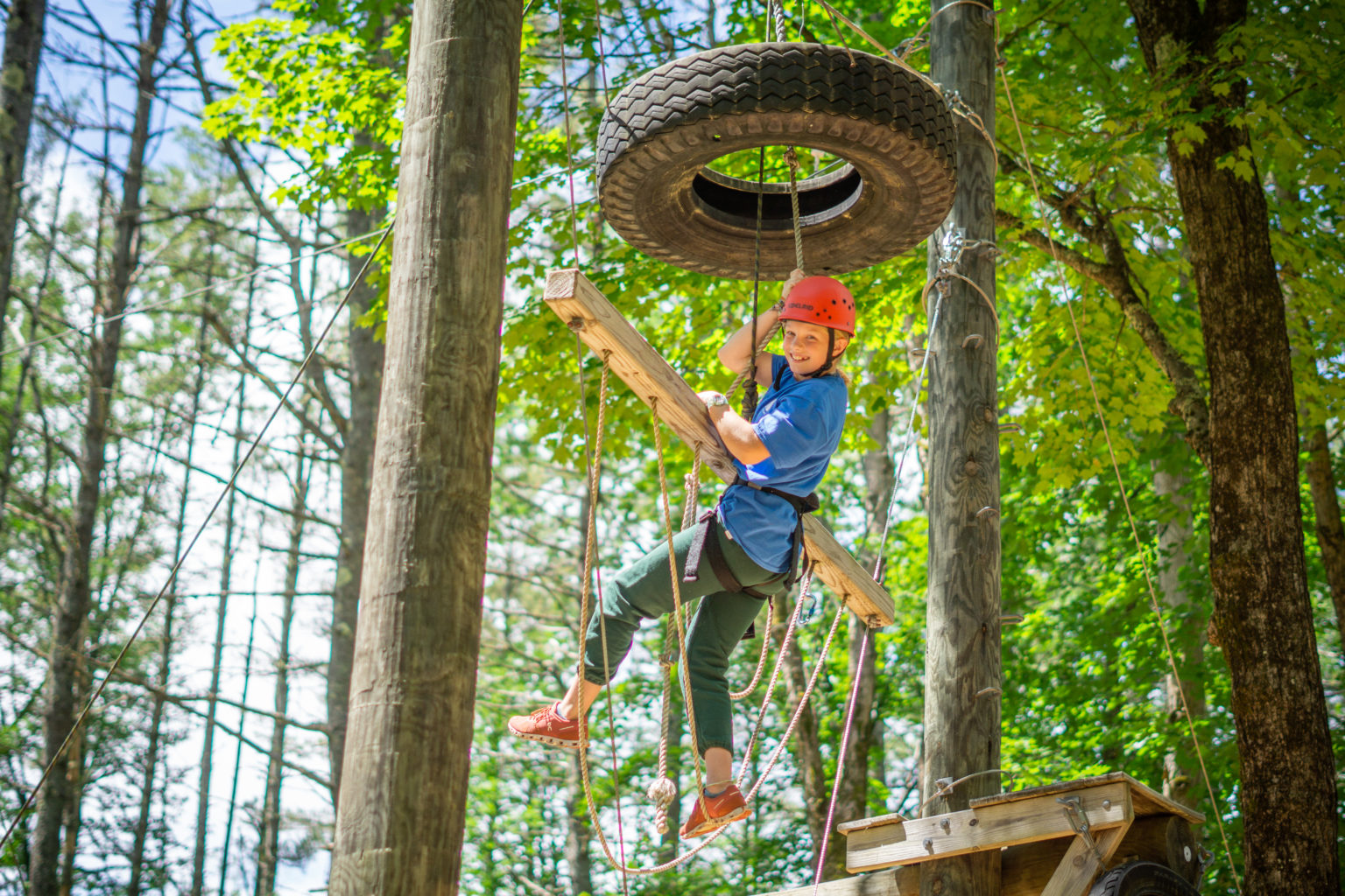 Hive - Aloha Foundation