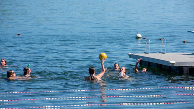 Aloha - Aloha Foundation