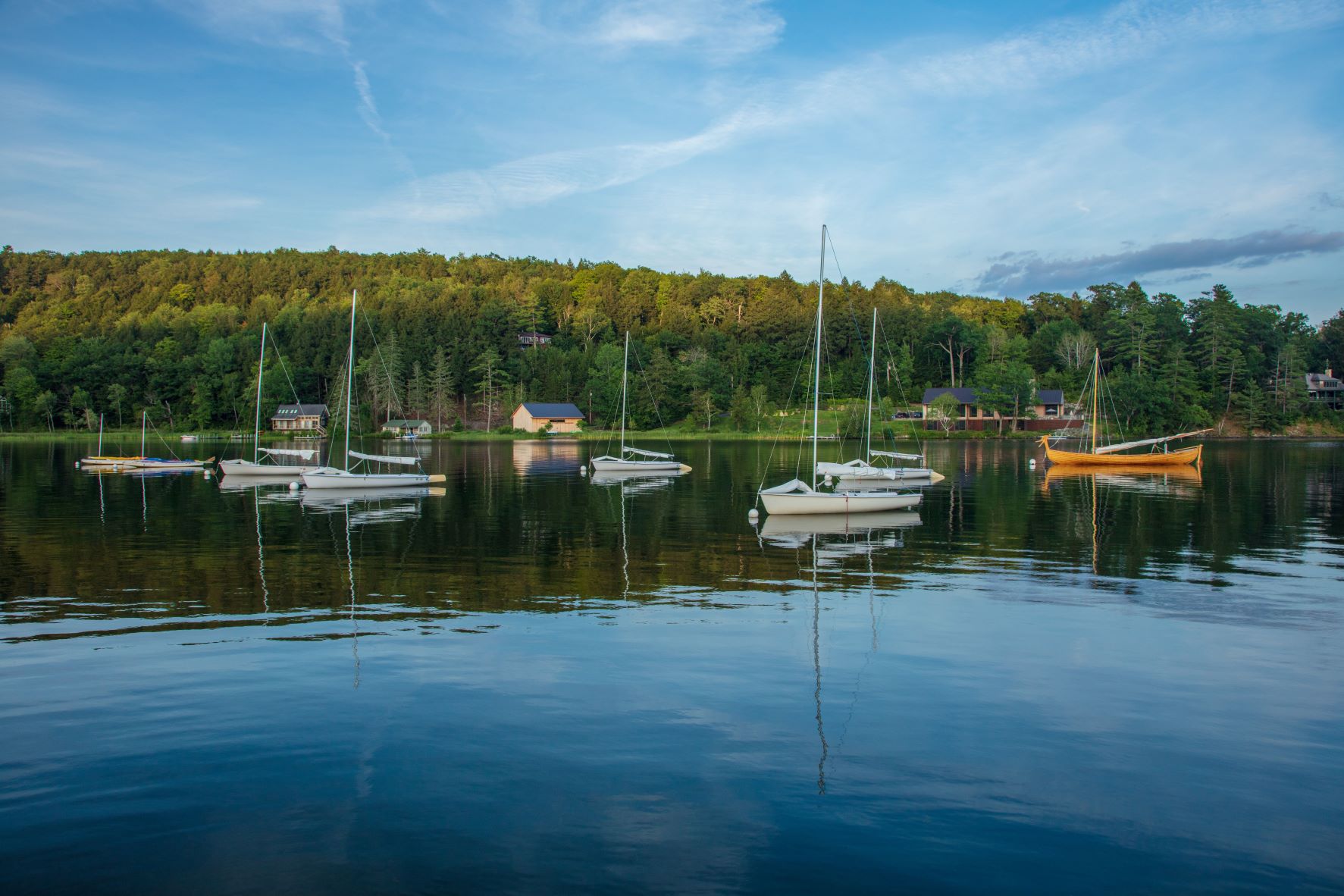 Welcome Penny Johnson - Aloha Foundation